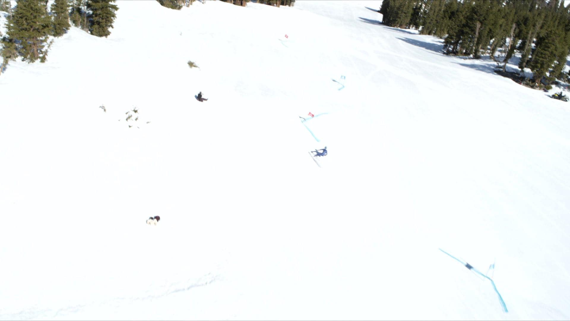 Meet the trailblazers of Team USA at the 2022 Winter Games | NBC Olympics