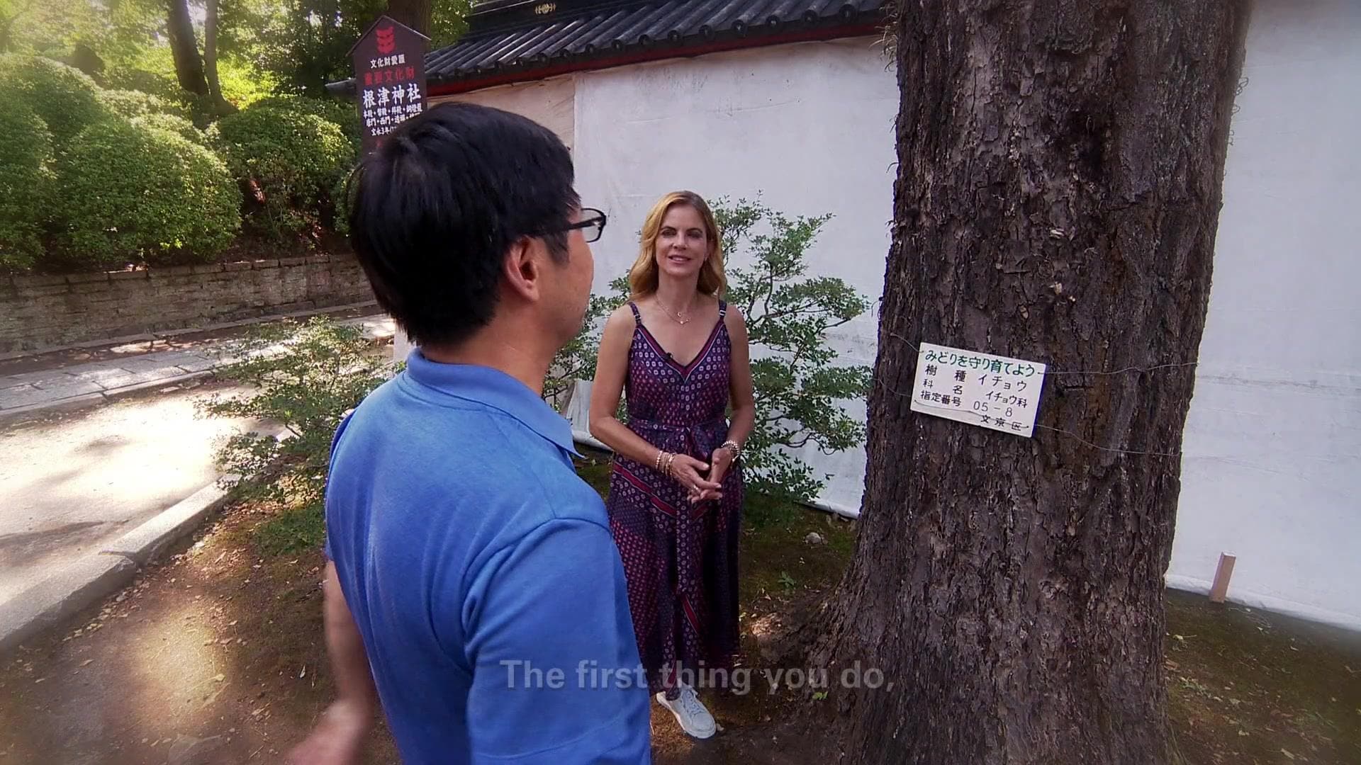 How to perform the Japanese practice of "forest bathing" | NBC Olympics